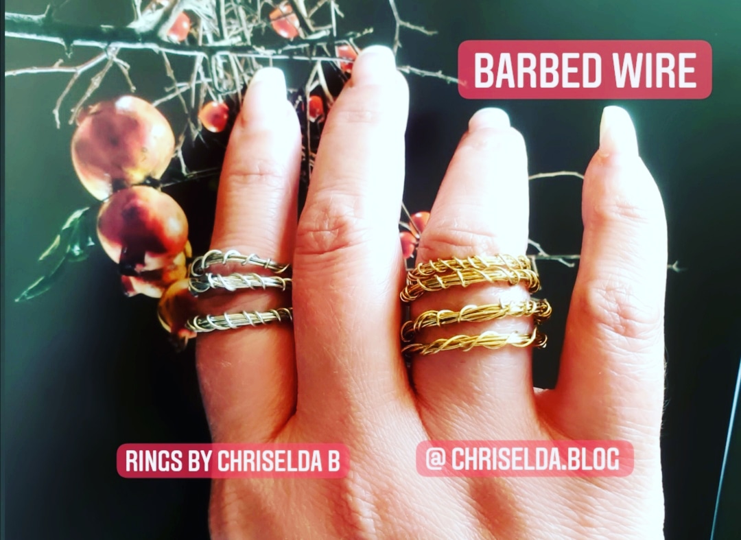 Barbed wire – Chriselda Barretto